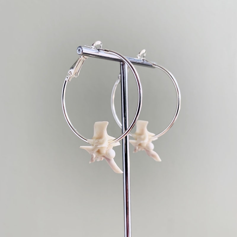 Vertebrae - Etsy