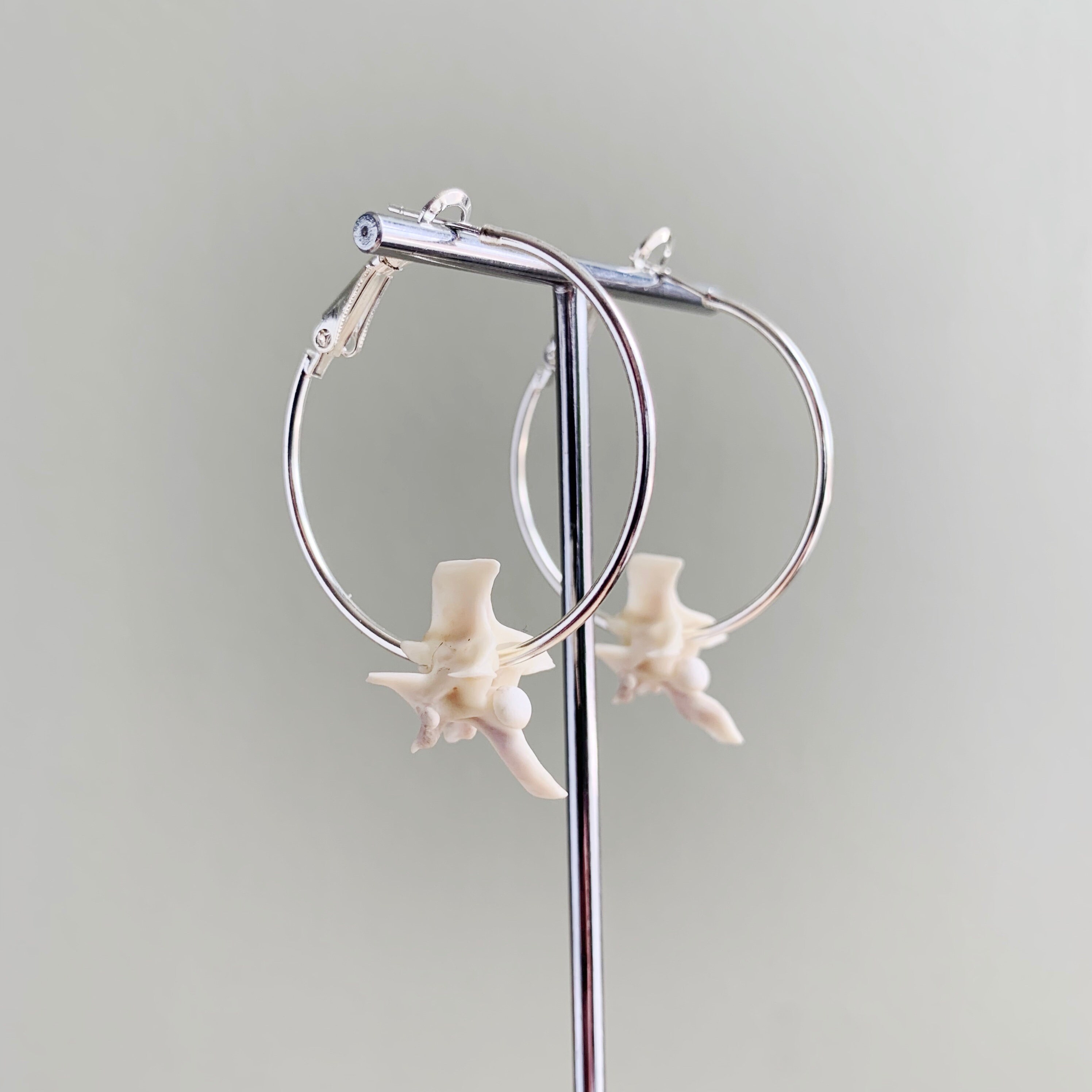 RATTLESNAKE VERTEBRAE Hoop Earrings SILVER Bone Jewelry | Etsy