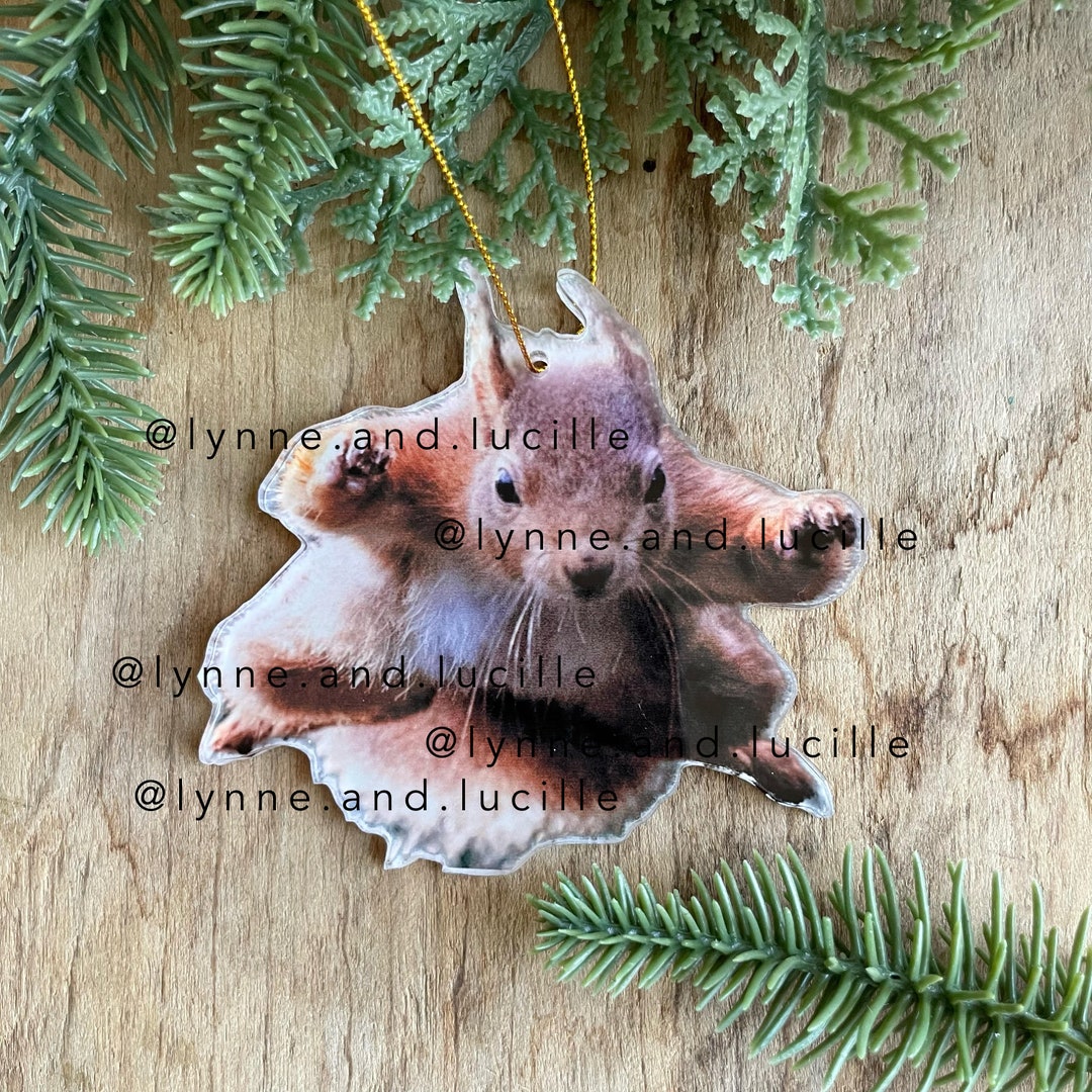 Christmas Vacation Squirrel Gif