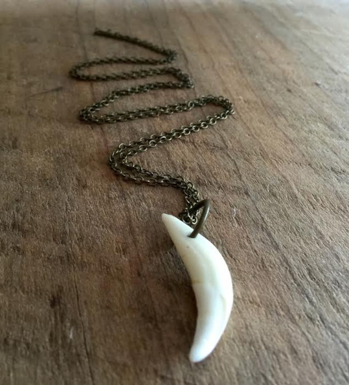 Collar de colmillo de coyote encontrado naturalmente - Etsy México