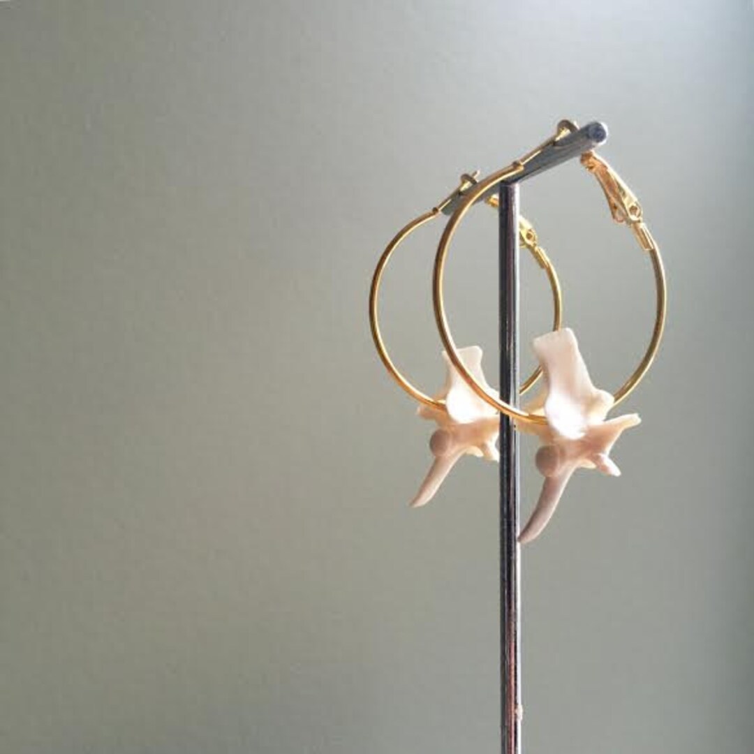 Rattlesnake Vertebrae Hoop Earrings - GOLD - Bone Jewelry - Taxidermy ...