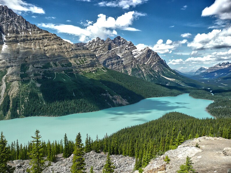 Vow Books, Peyto Lake Banff National Park Wedding Vow Books, His and ...