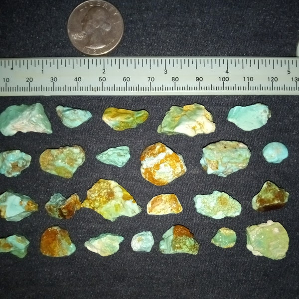 Fox Turquoise - Etsy