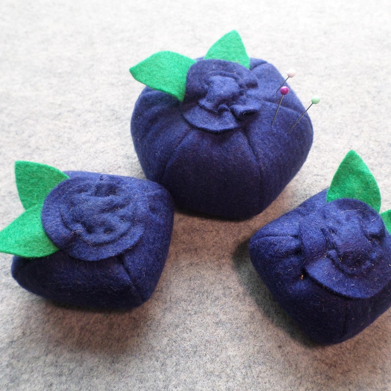 Felted Wool Pin Cushion Kit - Etsy