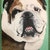 Lucille Bluth from Arrested Development Print of Acrylic Portrait NOW ...