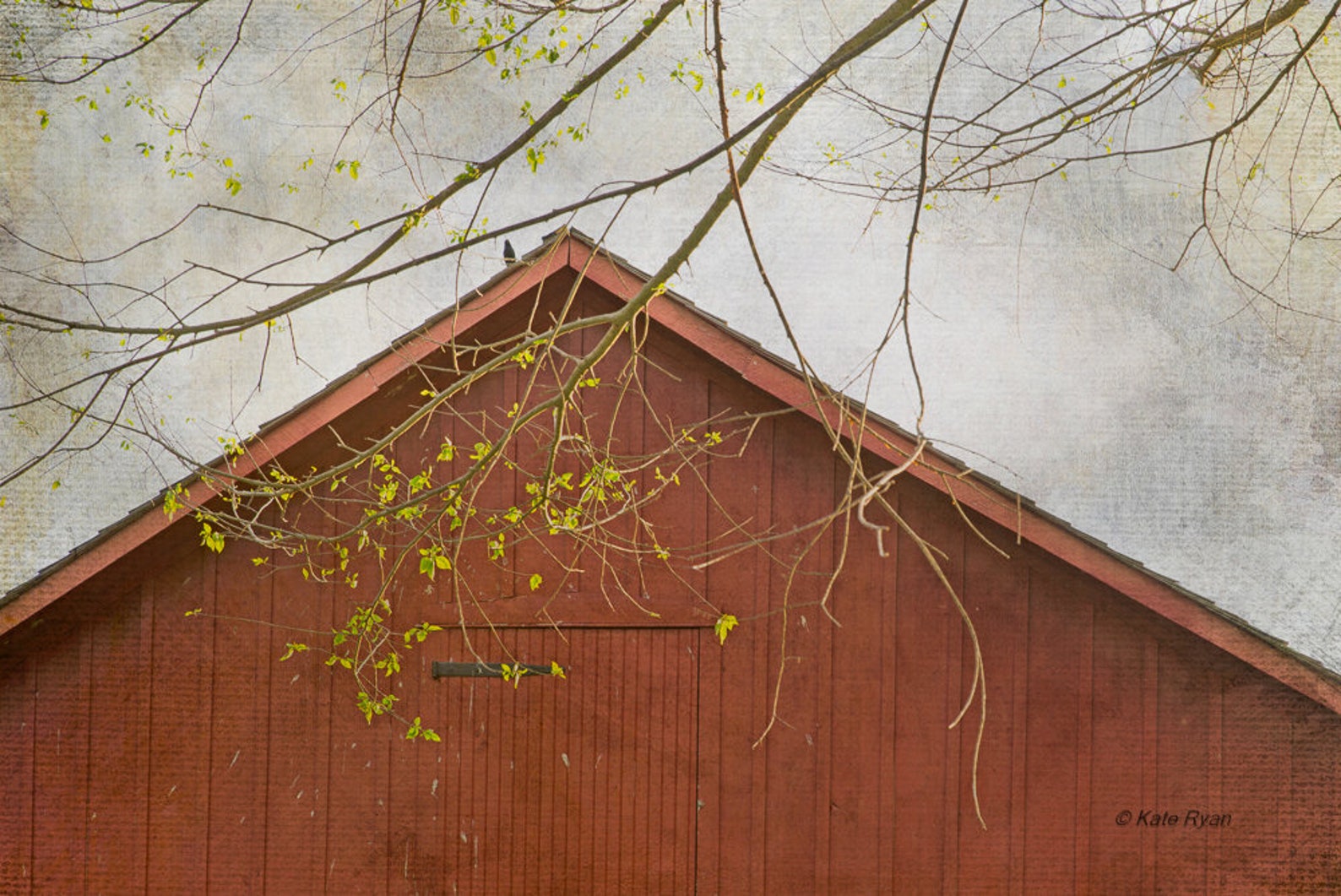 Rustic Red Barn Prints, Farmhouse Decor, Set of 3 Art Prints, Kitchen ...