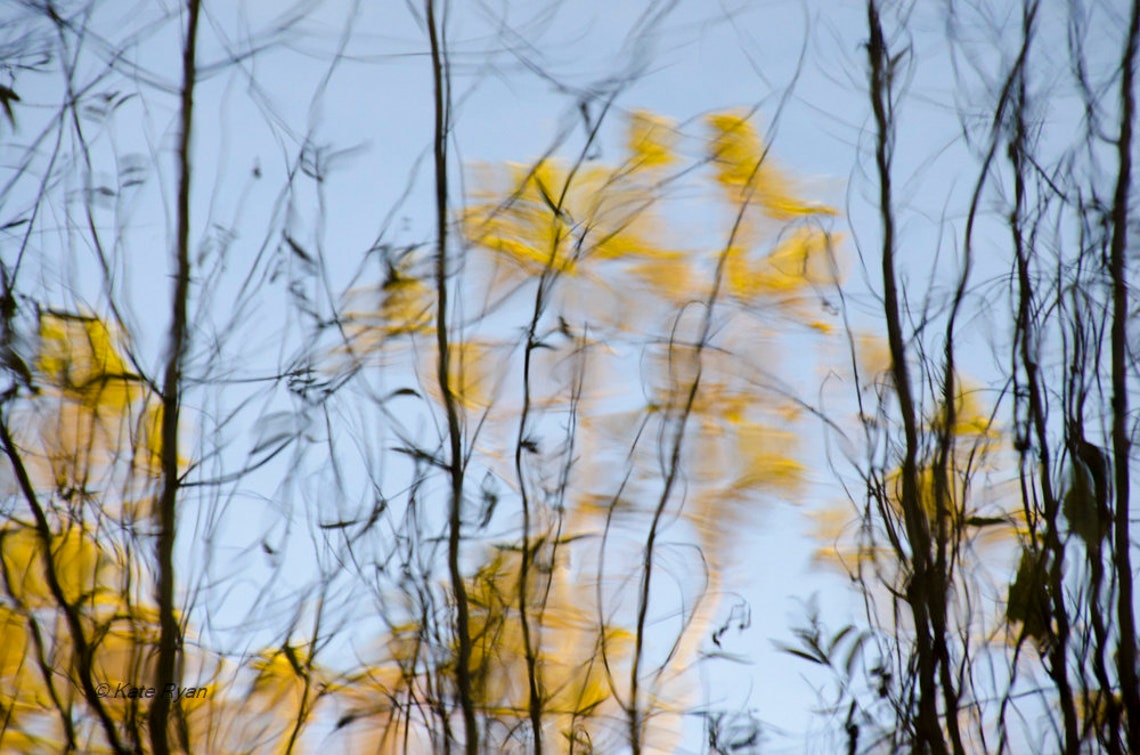 Water Reflection Art Print, Abstract Art, Fine Art Photo, Autumn ...