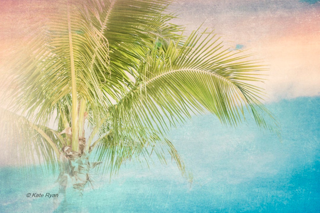 Beach Life, Palm Tree Art, Coastal Art, Beach Photo, Fine Art Photo ...