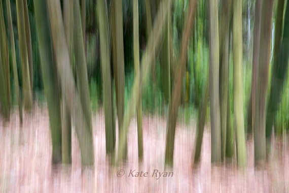 Bamboo Trees Wall Art Modern Abstract Botanical Tropical - Etsy