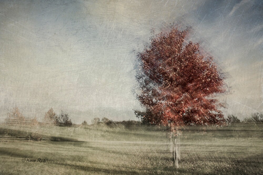 Blue Abstract Art, Nature Print, Autumn Landscape Photo, Fine Art ...