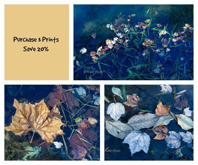 Nature Art Print, Autumn Landscape Photo, Fall Leaves Water Reflection ...