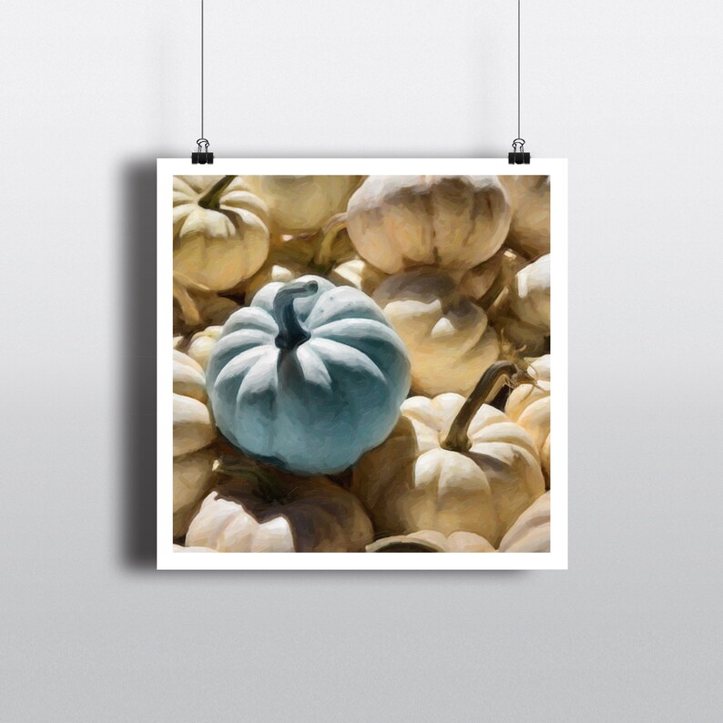 Pumpkin Photography, White Pumpkins, Blue Pumpkin, Kitchen Wall Art ...