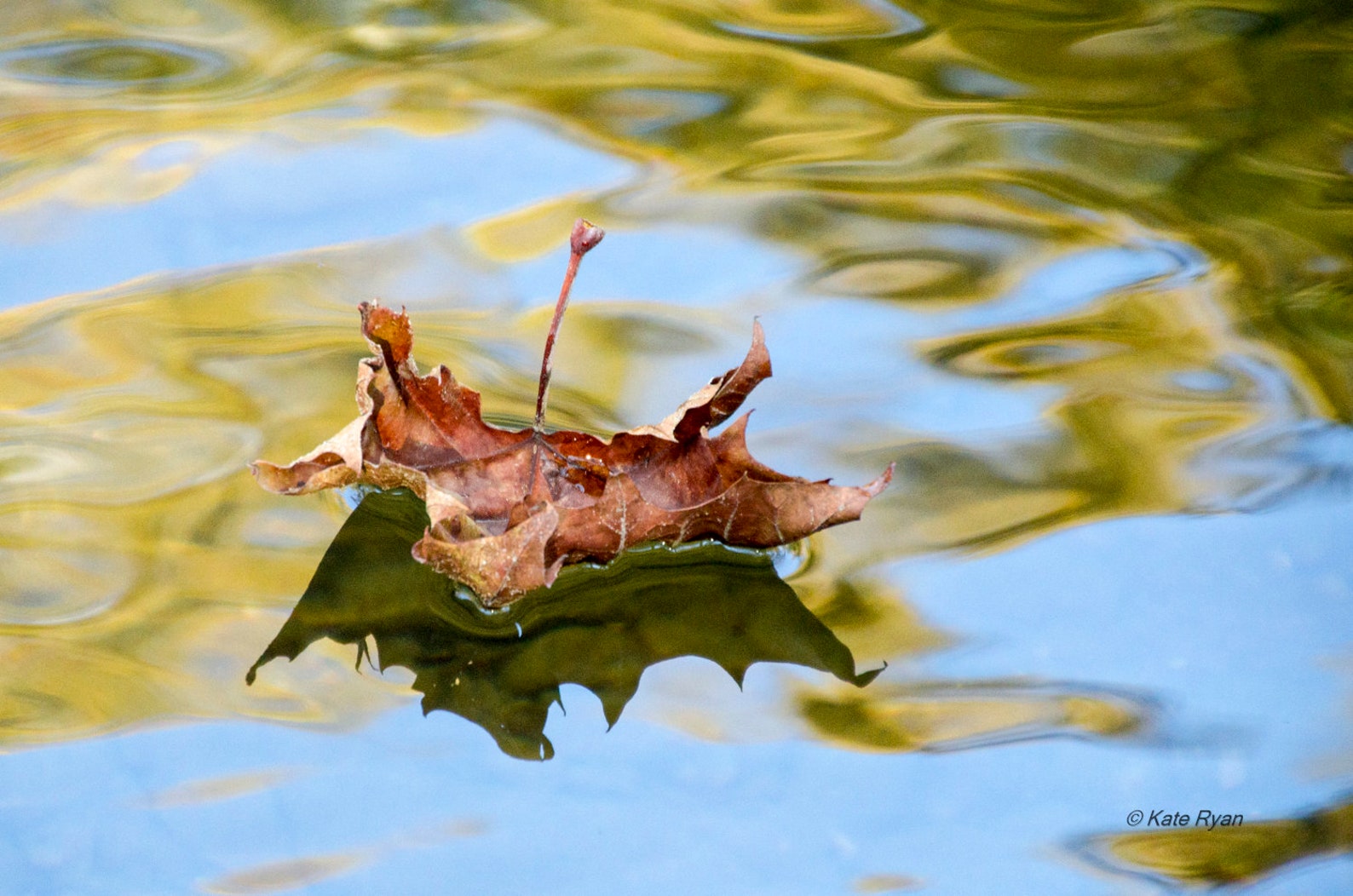 Water Reflection Art Print, Abstract Art, Fine Art Photo, Autumn ...