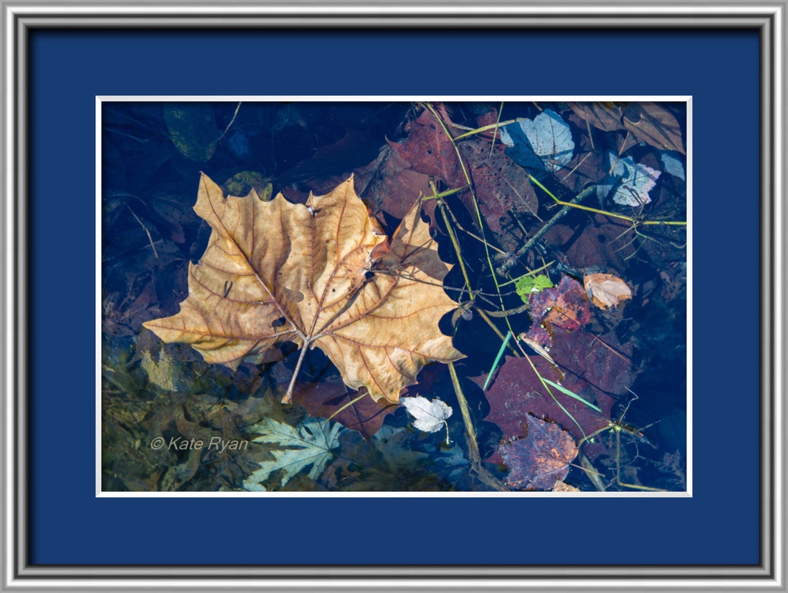 Nature Art Print, Autumn Landscape Photo, Fall Leaves Water Reflection ...