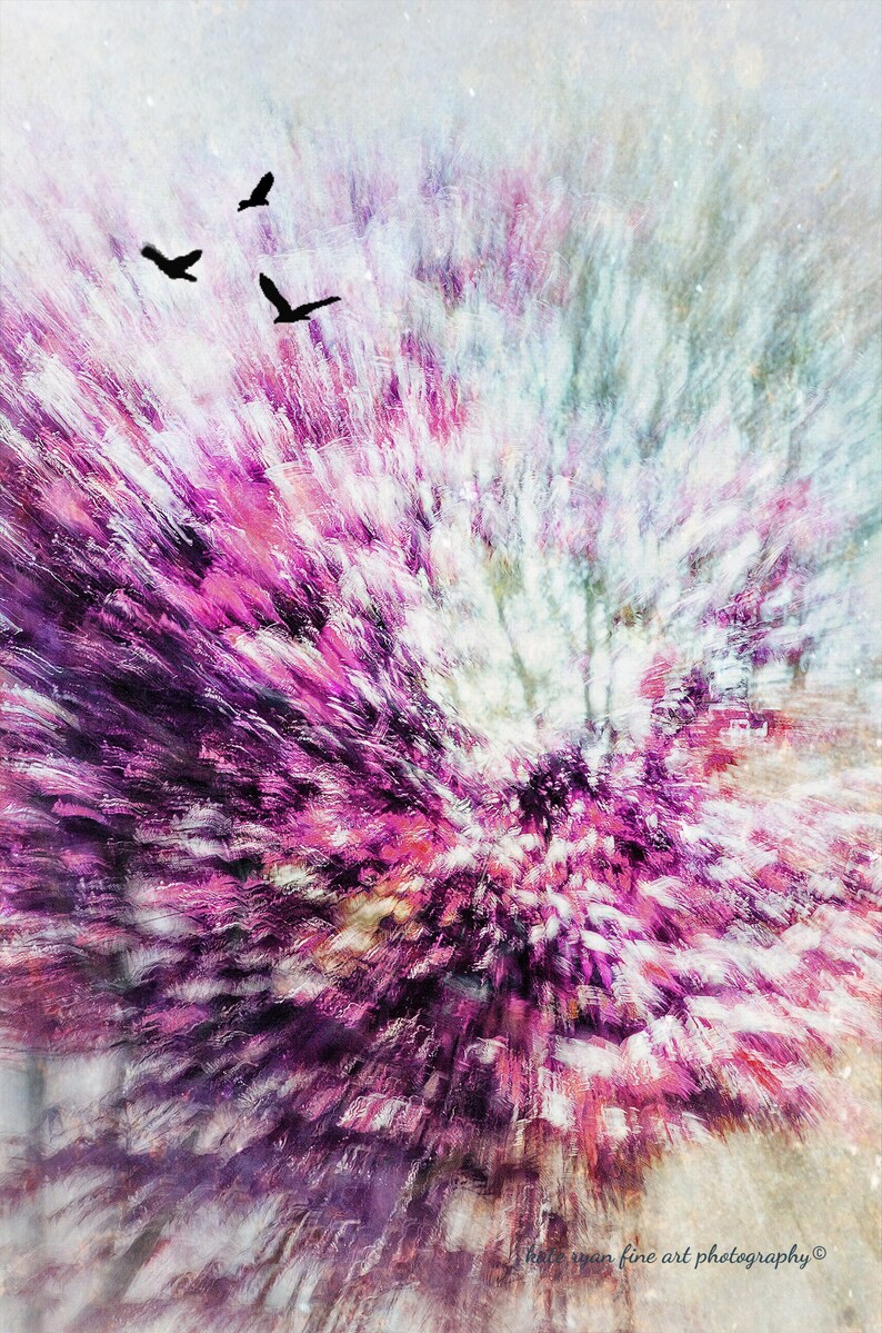 Abstract Wall Art, Spring Landscape Print, Fine Art Photo, Japanese ...