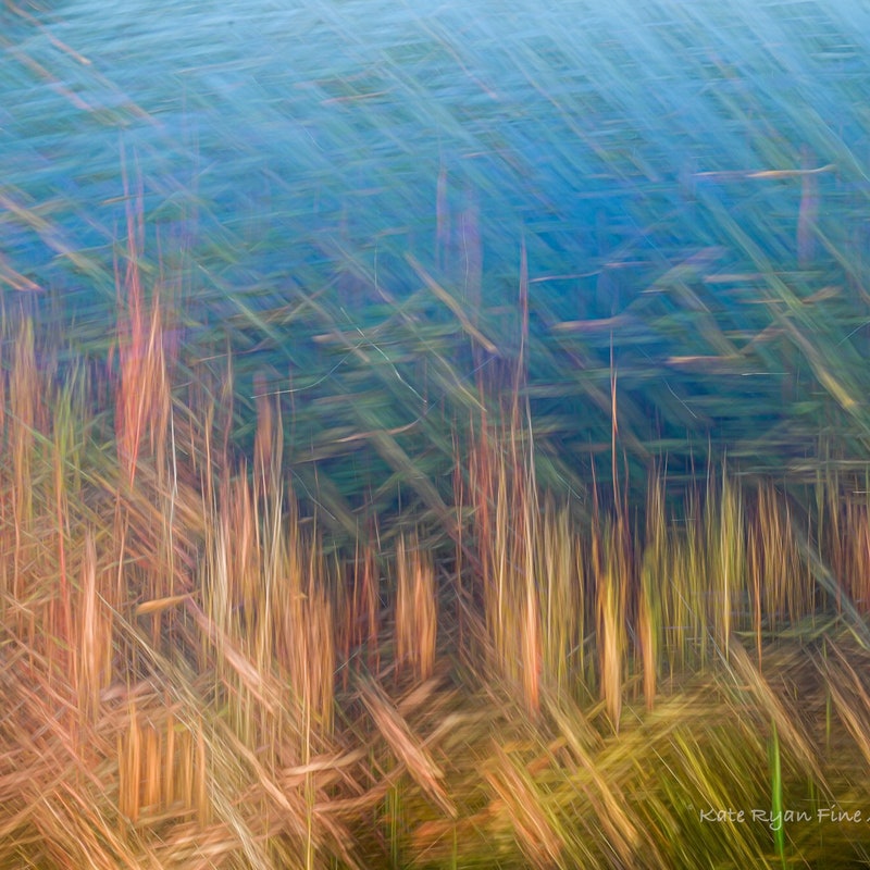 Abstract Nature Art - Etsy