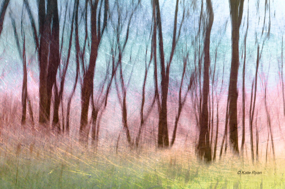 Abstract Nature Print, Colorful Nature Photo, Magical Forest Trees Art ...