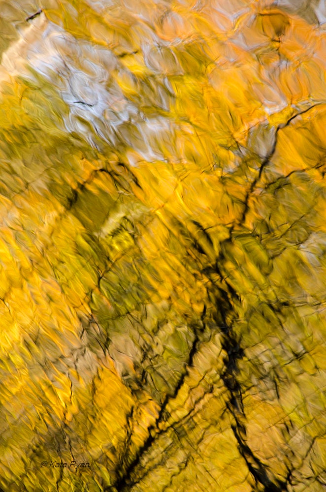 Water Reflection Art Print, Abstract Art, Fine Art Photo, Autumn ...