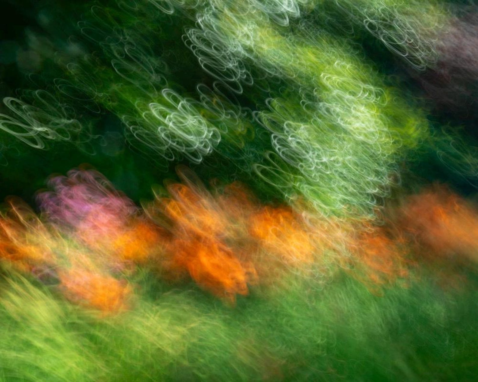 Coils of Fun, Abstract Wall Art, Dazzling and Colorful, Fine Art Photo ...
