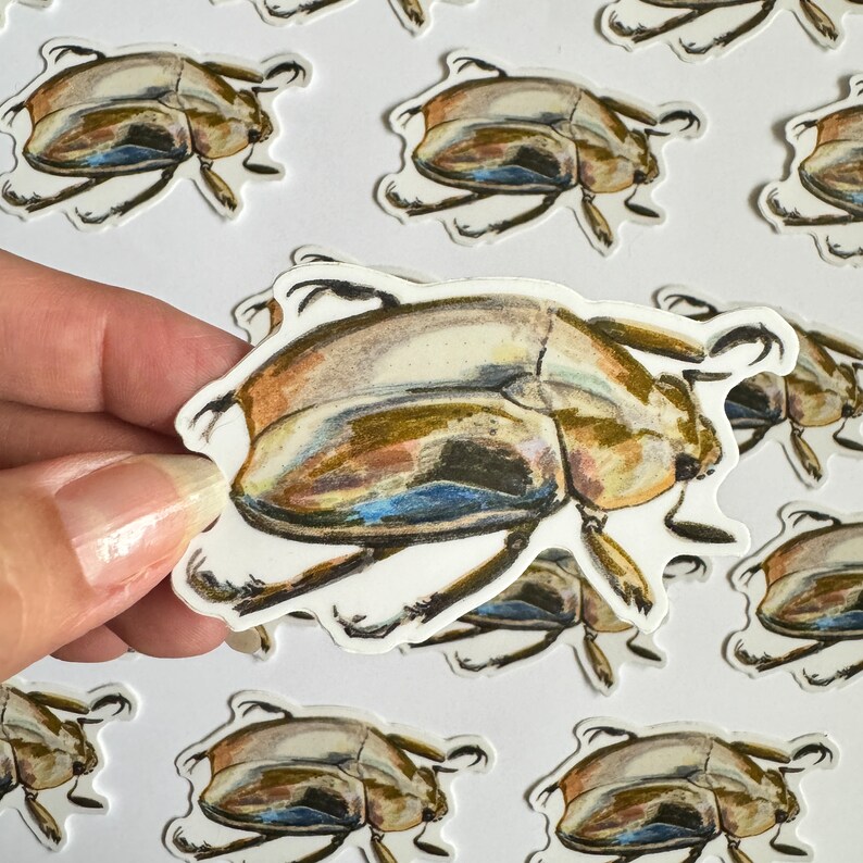 Jewel Scarab Beetle Sticker | 3.5" Sticker Decal | Water-resistant ...