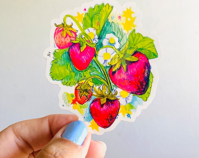 Summer Strawberries | Vinyl Sticker Decal | Waterproof Weatherproof ...