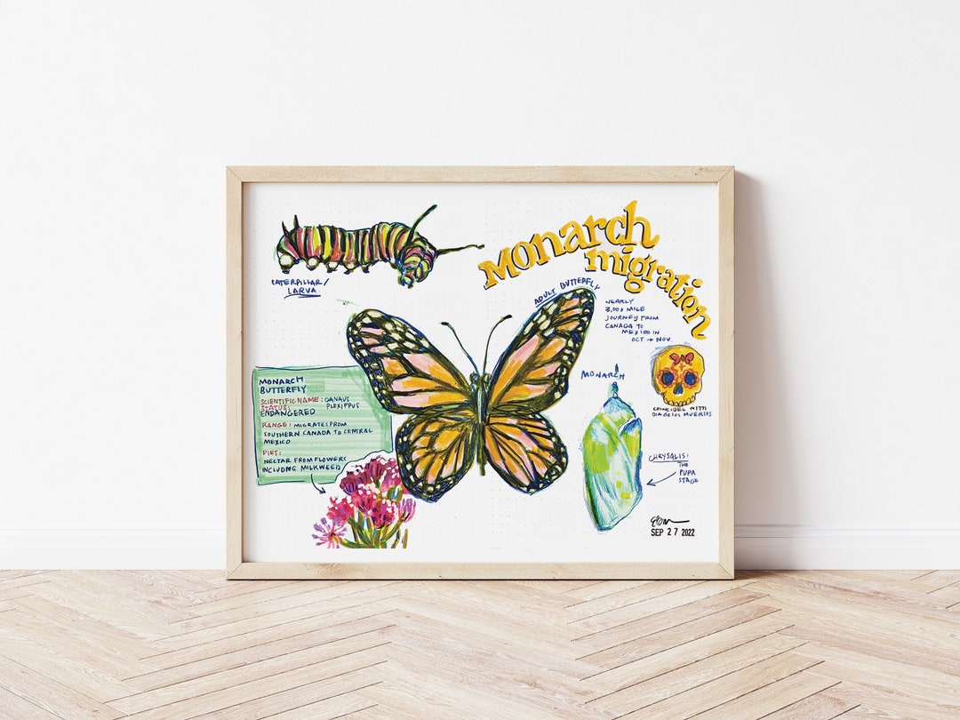 Monarch Butterfly | Migration | Naturalist Poster - Etsy