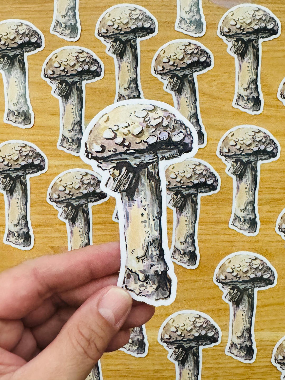 Mushroom Decal | Waterproof Weatherproof | Forest Fungi Mushroom ...