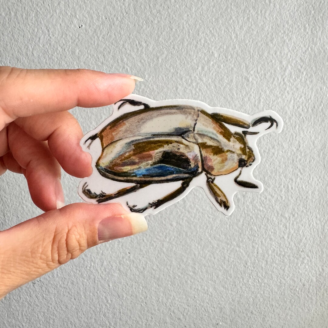 Jewel Scarab Beetle Sticker | 3.5" Sticker Decal | Water-resistant ...