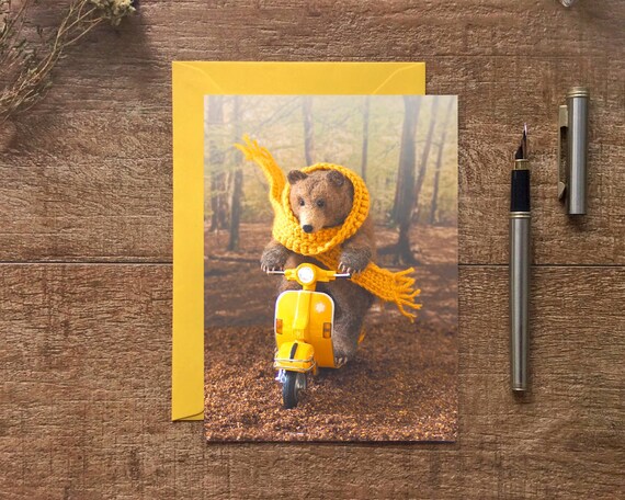 Blank Card Funny Animal Greeting Card Felted Animal Humor | Etsy