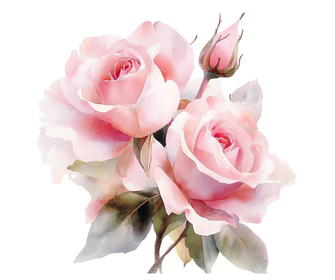 Pink Roses Watercolor Clipart Set: Floral Bouquet PNG (digital Download ...
