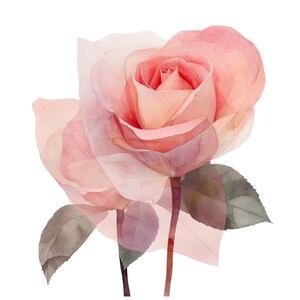 11 Peach Roses Set Clipart, Roses Bouquet, Printable Watercolor Clipart ...