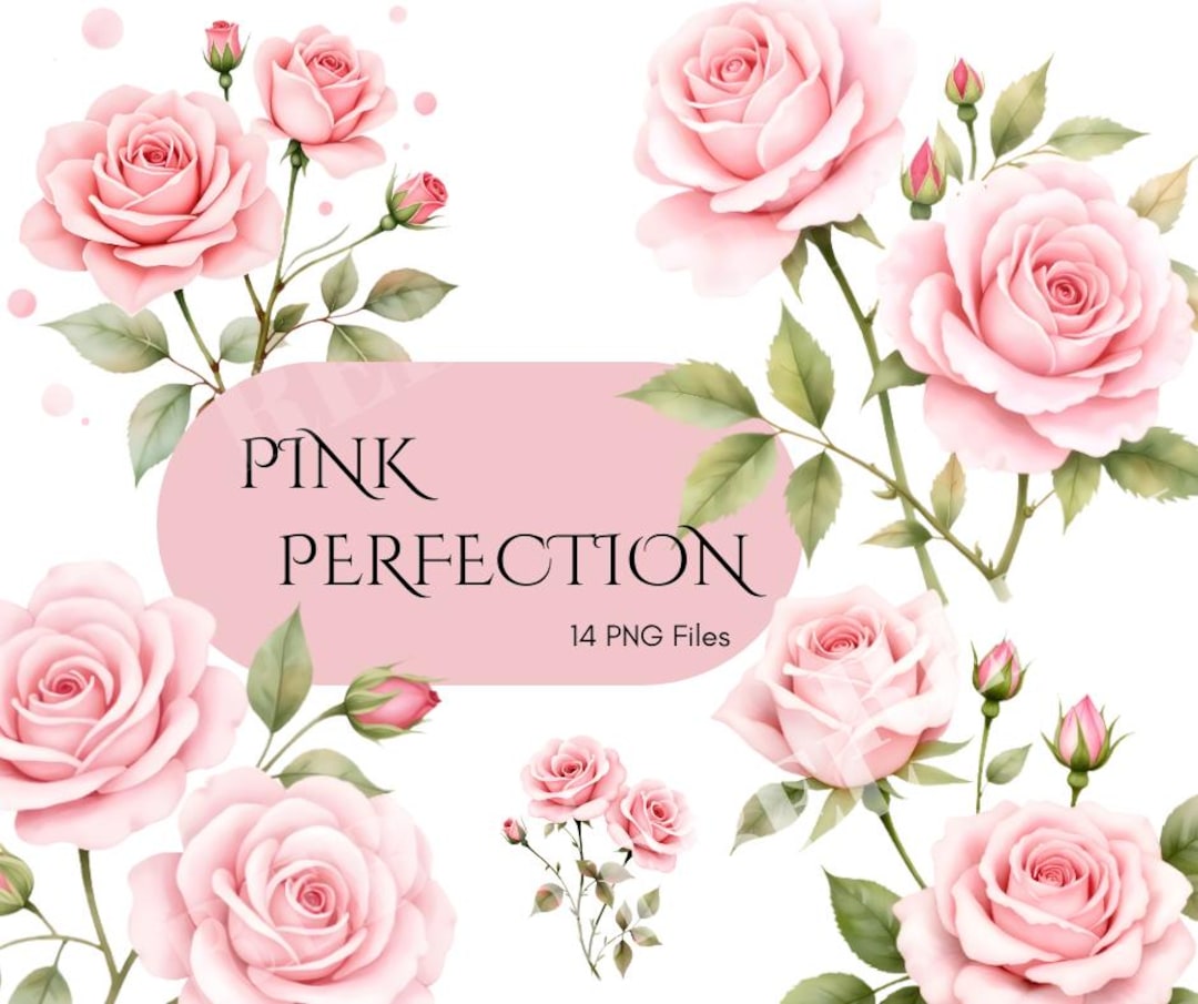 14 Pink Roses Clipart Set Watercolour Bouquet Printable Digital ...