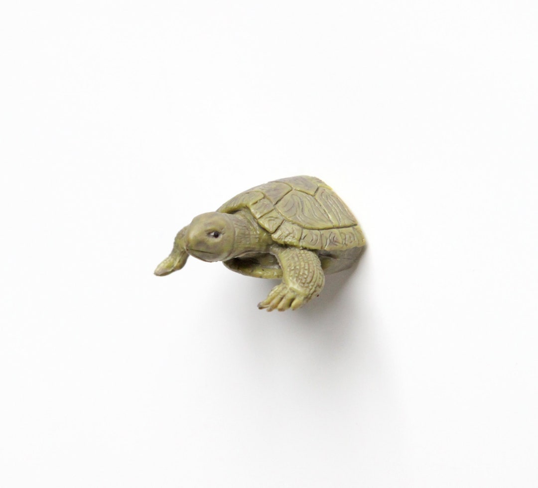 Fridge Magnet turtle - Etsy