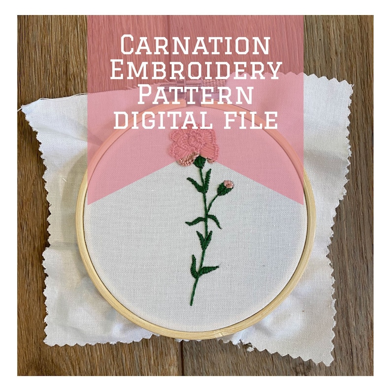 Carnation - January Birth Month Flower PDF/PNG Digital File Hand ...