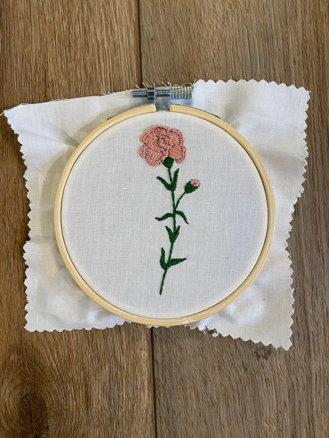 Carnation - January Birth Month Flower PDF/PNG Digital File Hand ...