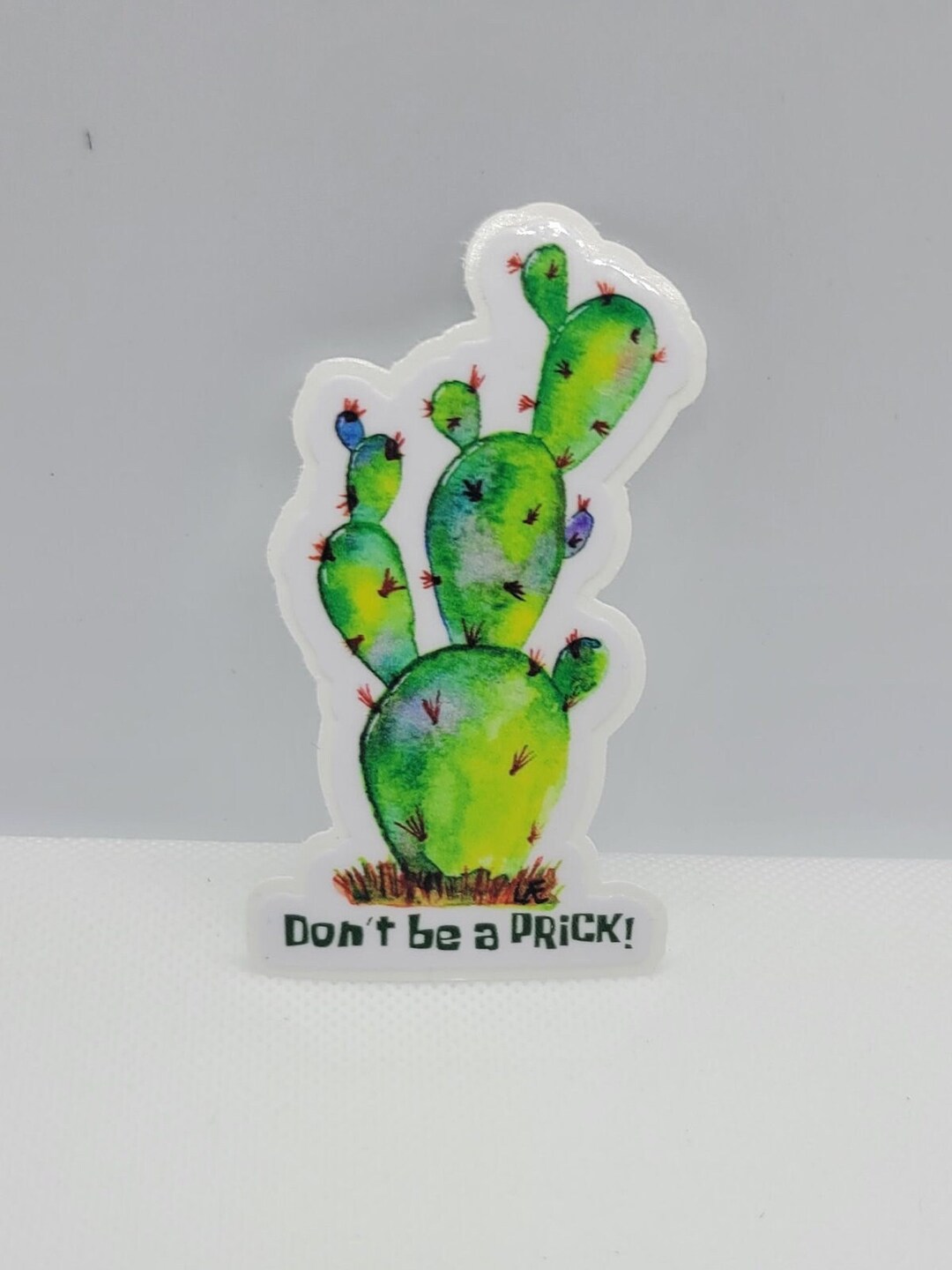 Cactus Don't Be a Prick Sticker, Decal, Succulent, Snarky, Vinyl ...