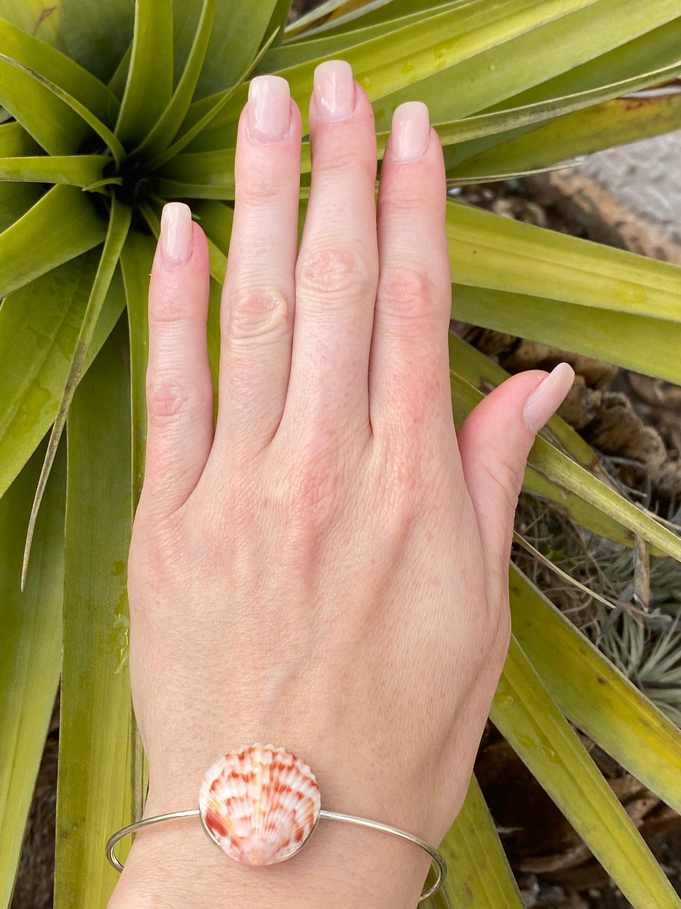 Florida Calico scallop seashell adjustable bangle bracelet