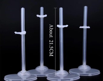 Seashell Display - Etsy