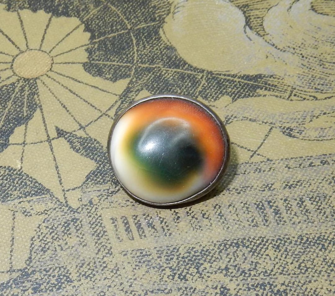 Antique Victorian Operculum Shell Eye Rare - Etsy