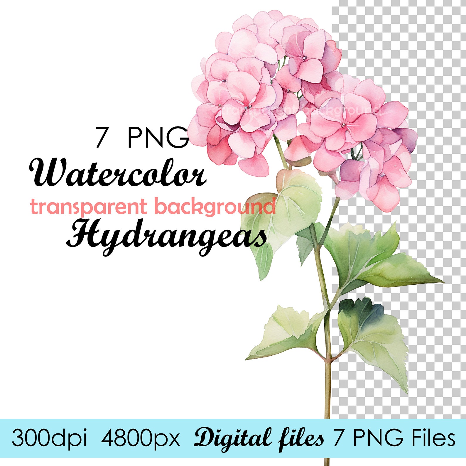7 Hydrangea PNG JPG Clipart Hydrangea Watercolor Clipart, Pink Floral ...