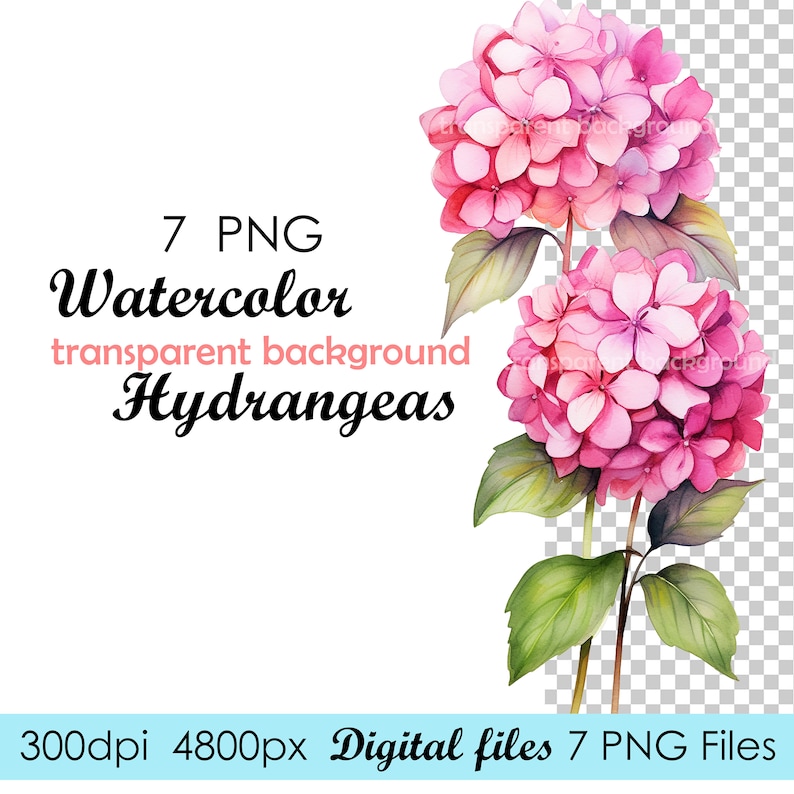 7 Hydrangea PNG JPG Clipart Hydrangea Watercolor Clipart, Pink Floral ...