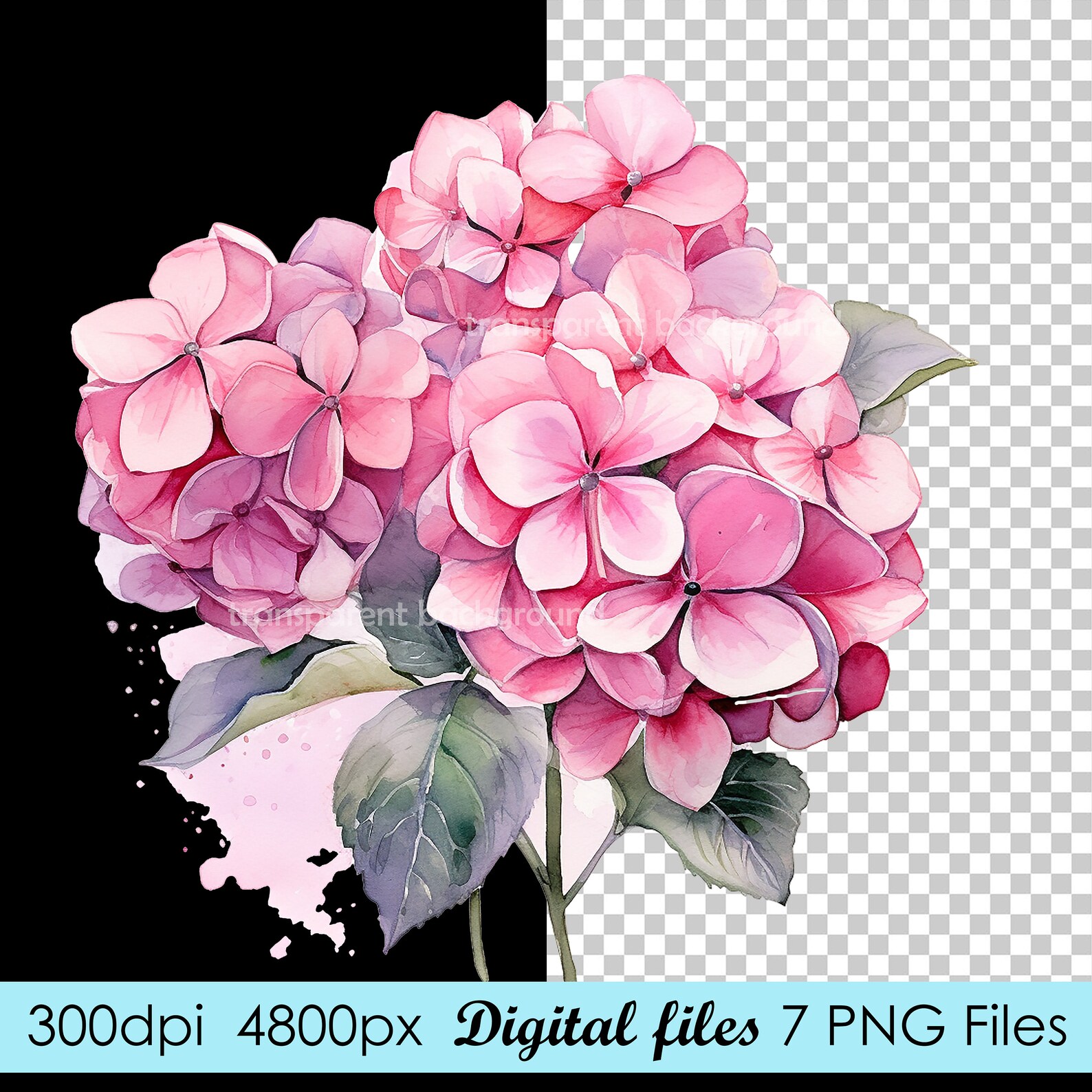 7 Hydrangea PNG JPG Clipart Hydrangea Watercolor Clipart, Pink Floral ...