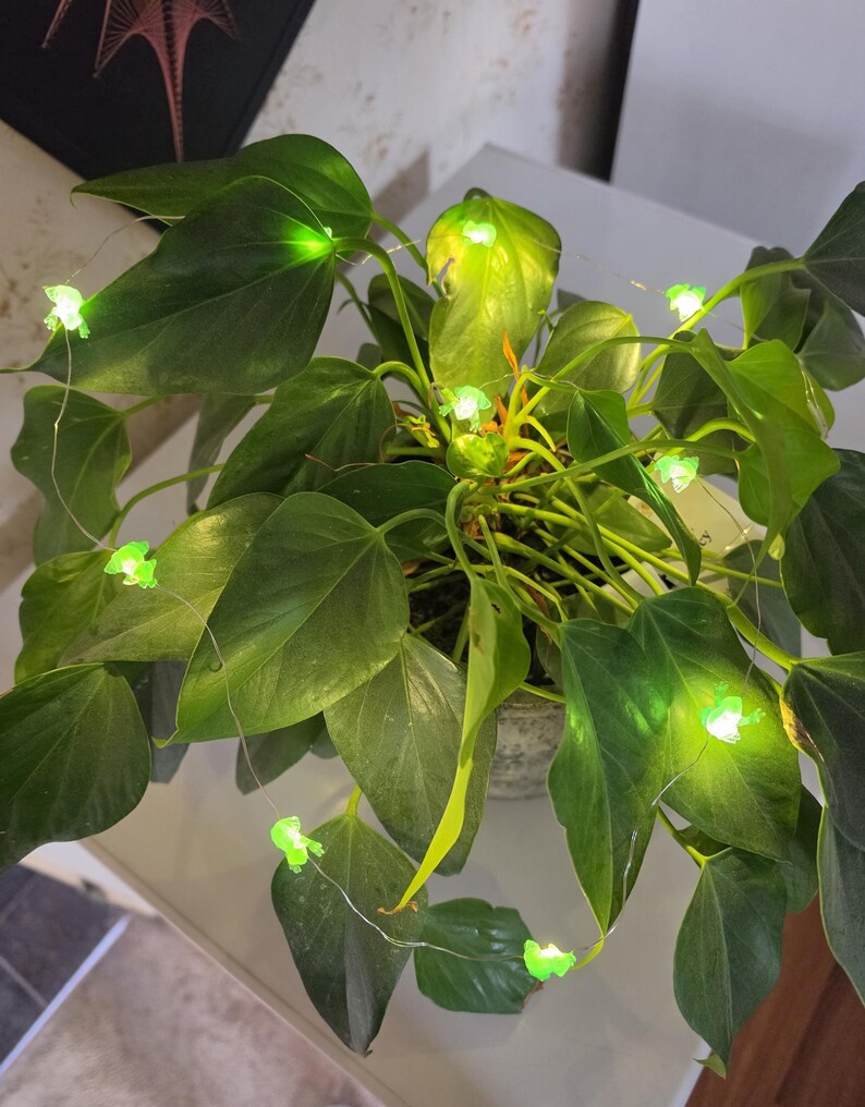 Froggy (fairy) Lights. 1M Long, 10 Frogs. - Etsy UK