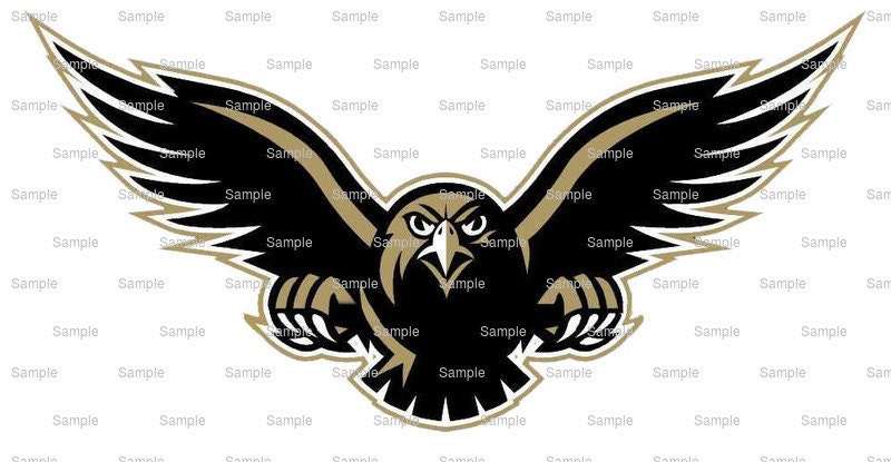 Falcons / Hawks Mascot Birthday ~ Edible 2D Fondant Birthday Cake ...