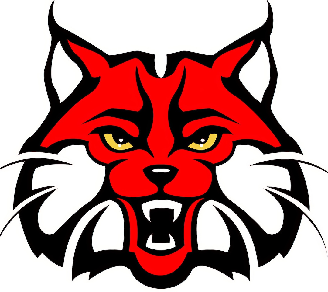 Wildcat Red & Black Mascot Birthday ~ Edible 2D Fondant Birthday Cake ...