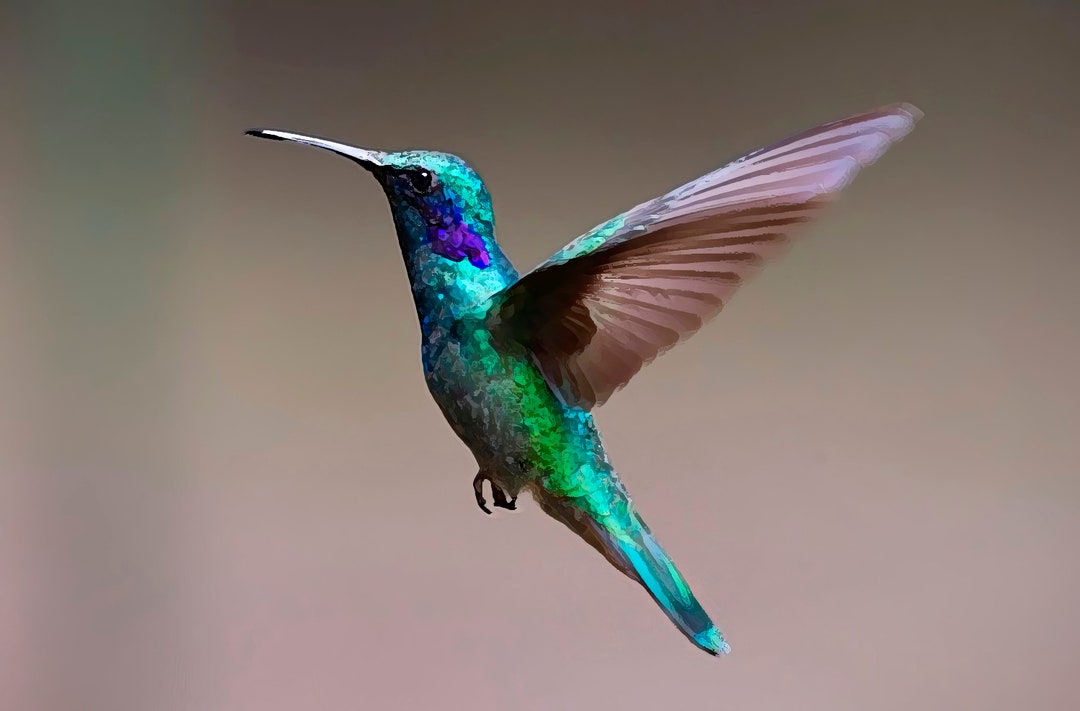 Cumpleaños Colibrí Comestible 2D Fondant Birthday Cake / Cupcake Topper ...