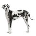 Great Dane Dog Birthday ~ Edible 2D Fondant Birthday Cake/cupcake ...