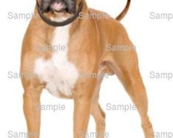 Boxer Dog Cake Topper - Etsy