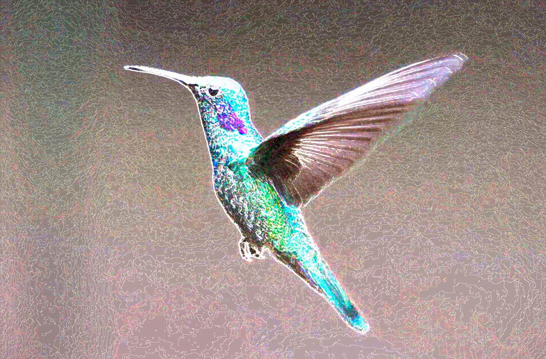 Hummingbird Birthday ~ Edible 2D Fondant Birthday Cake/cupcake Topper ...