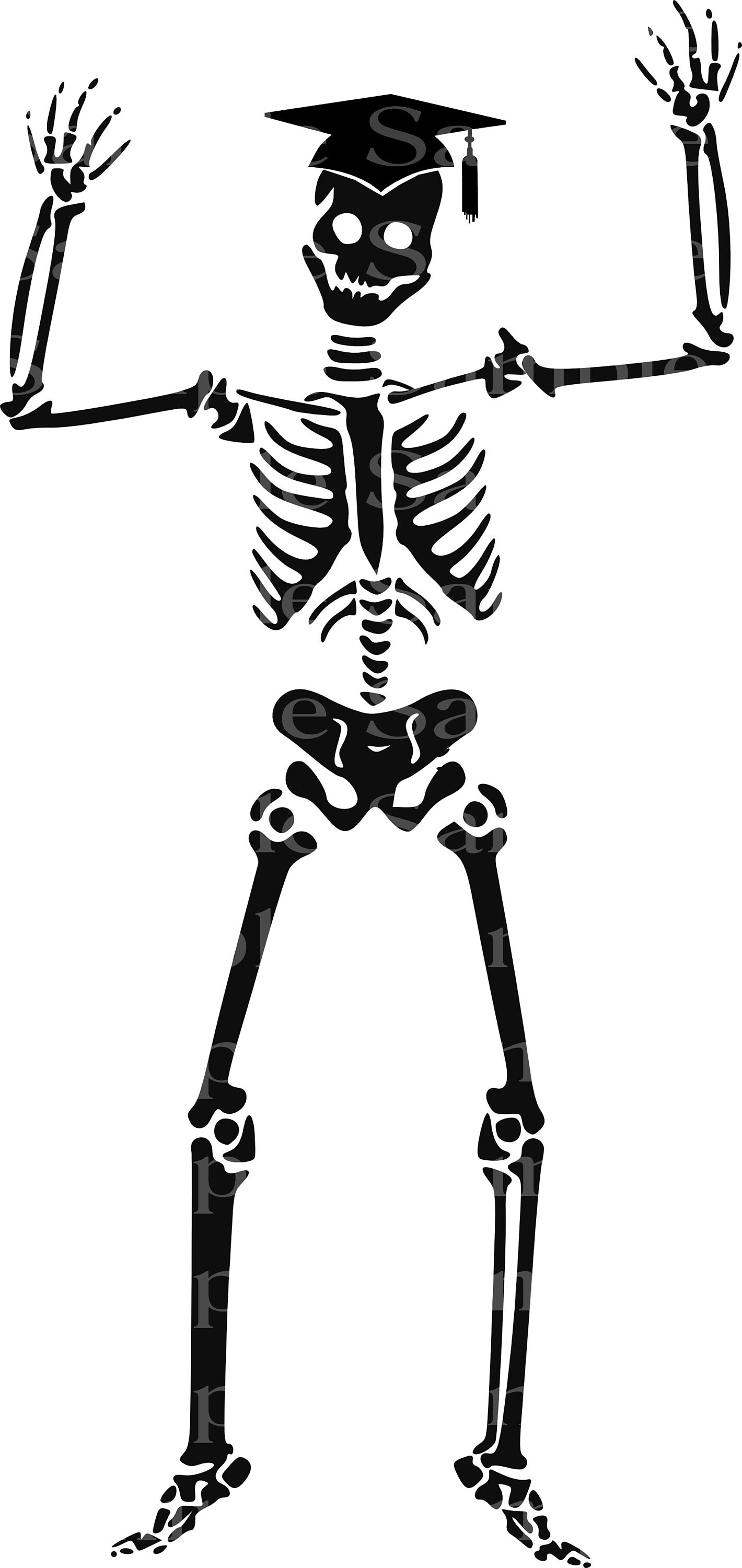 Black Graduation Skeleton Birthday - 2D Fondant Edible Cake and Cupcake ...